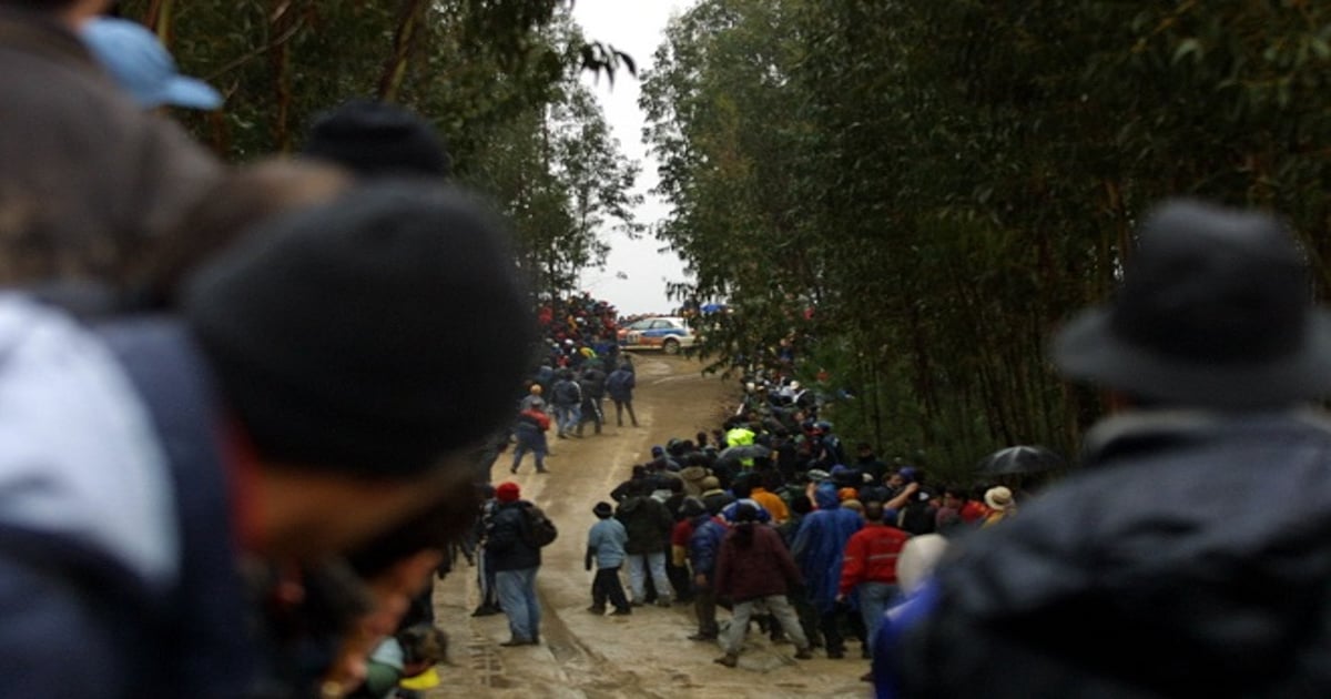 Six spectators killed in Spanish rally | RACER