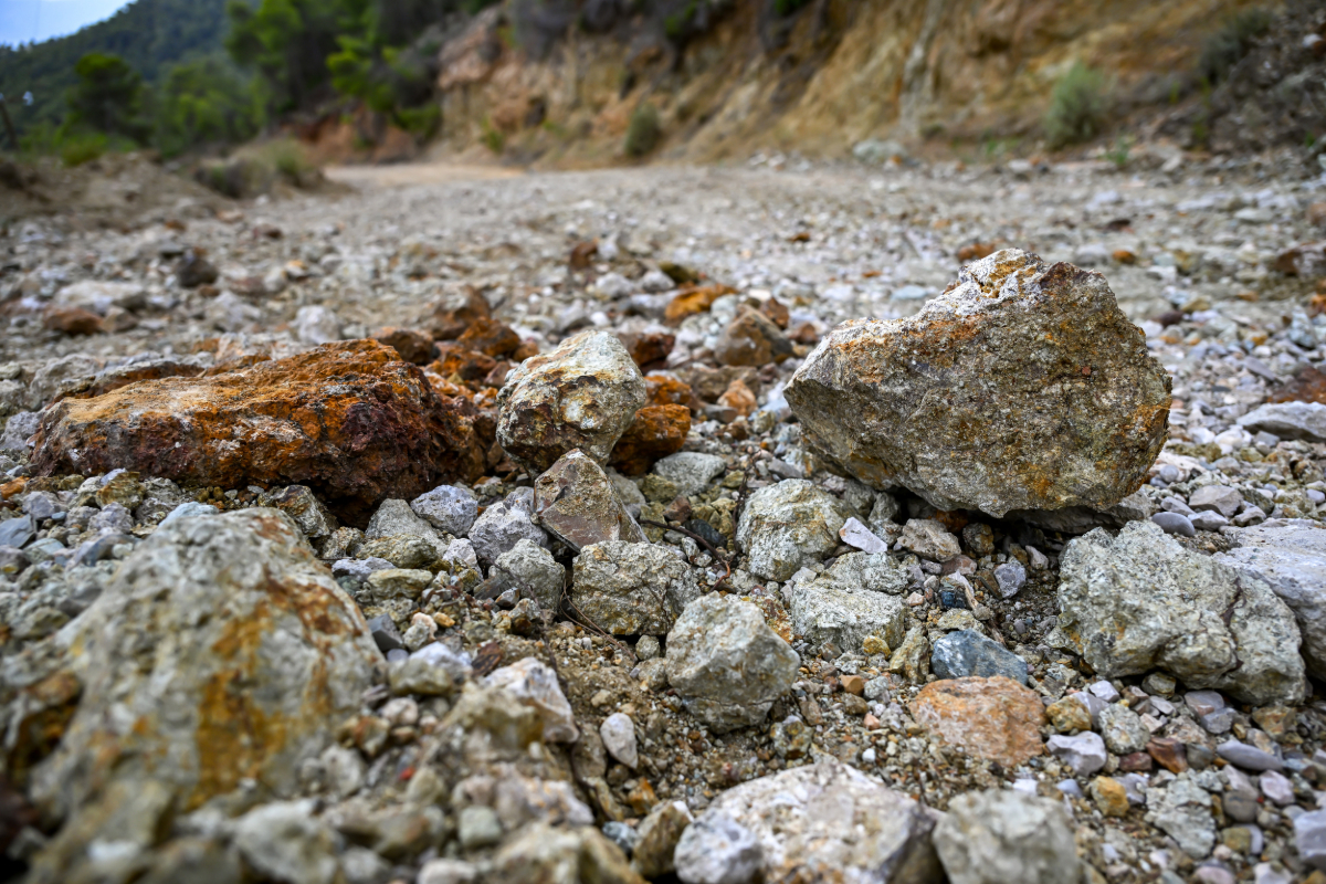 Acropolis Rally brings the heat as LIVE WRC action hits RACER+ | RACER