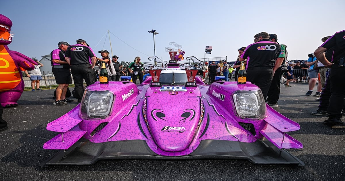 AO Racing confirms Rexy and Spike's return for 2026 IMSA campaigns | RACER